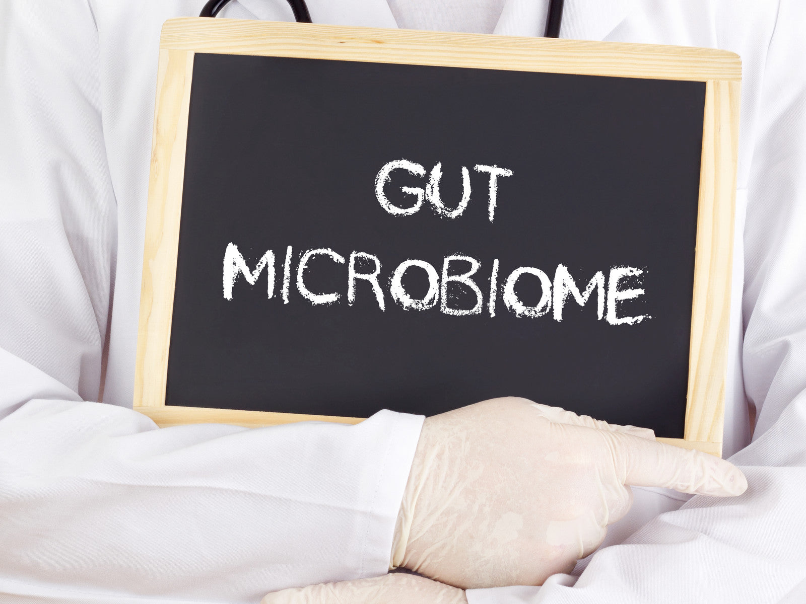 What is a microbiome? – Pro Earth Animal Health, Inc.
